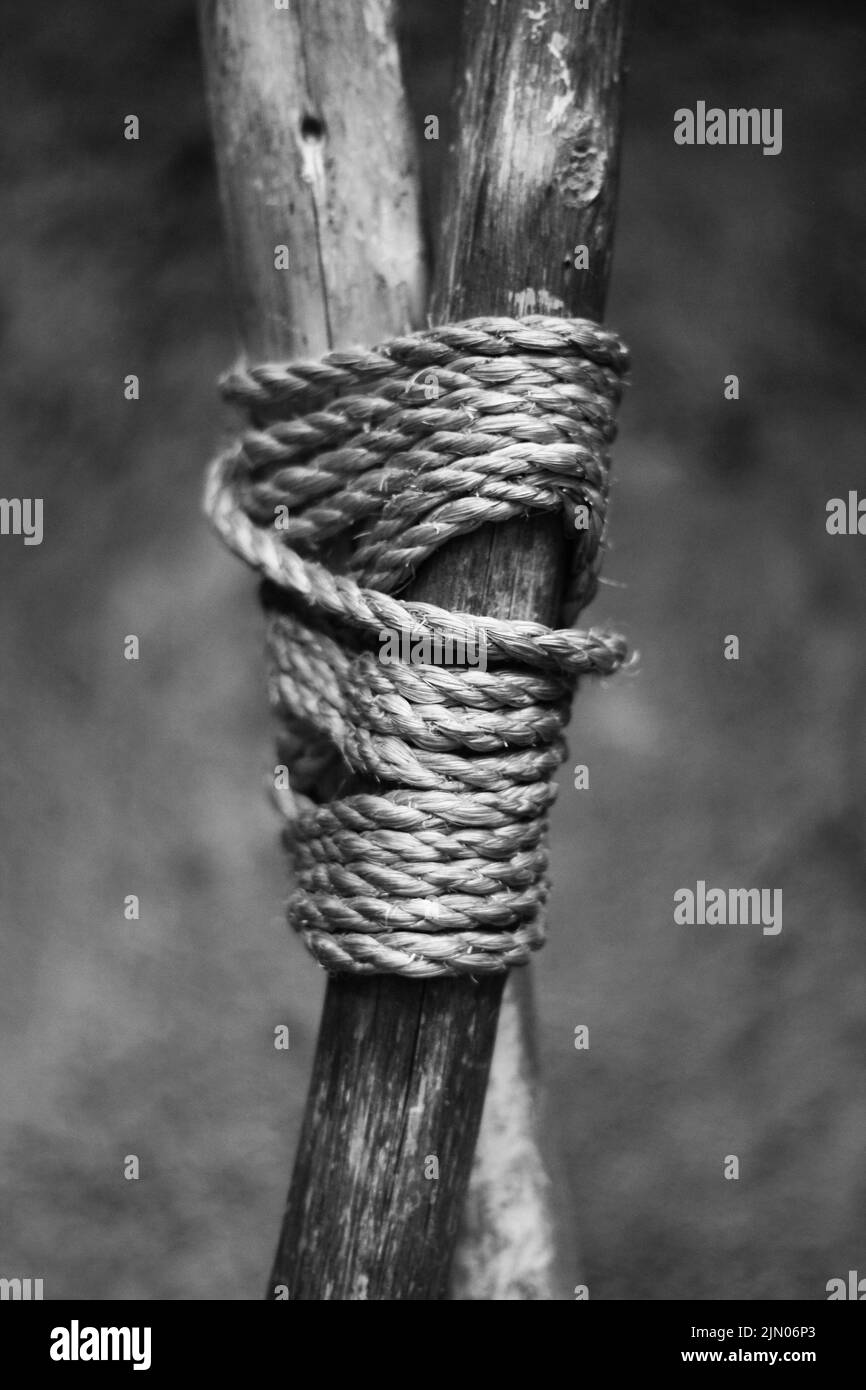 Two branches tied tied together with rope in black and white monochrome ...