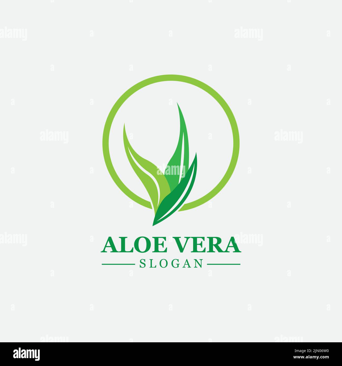 Green plant aloe vera logo vector icon symbol many benefits Stock ...