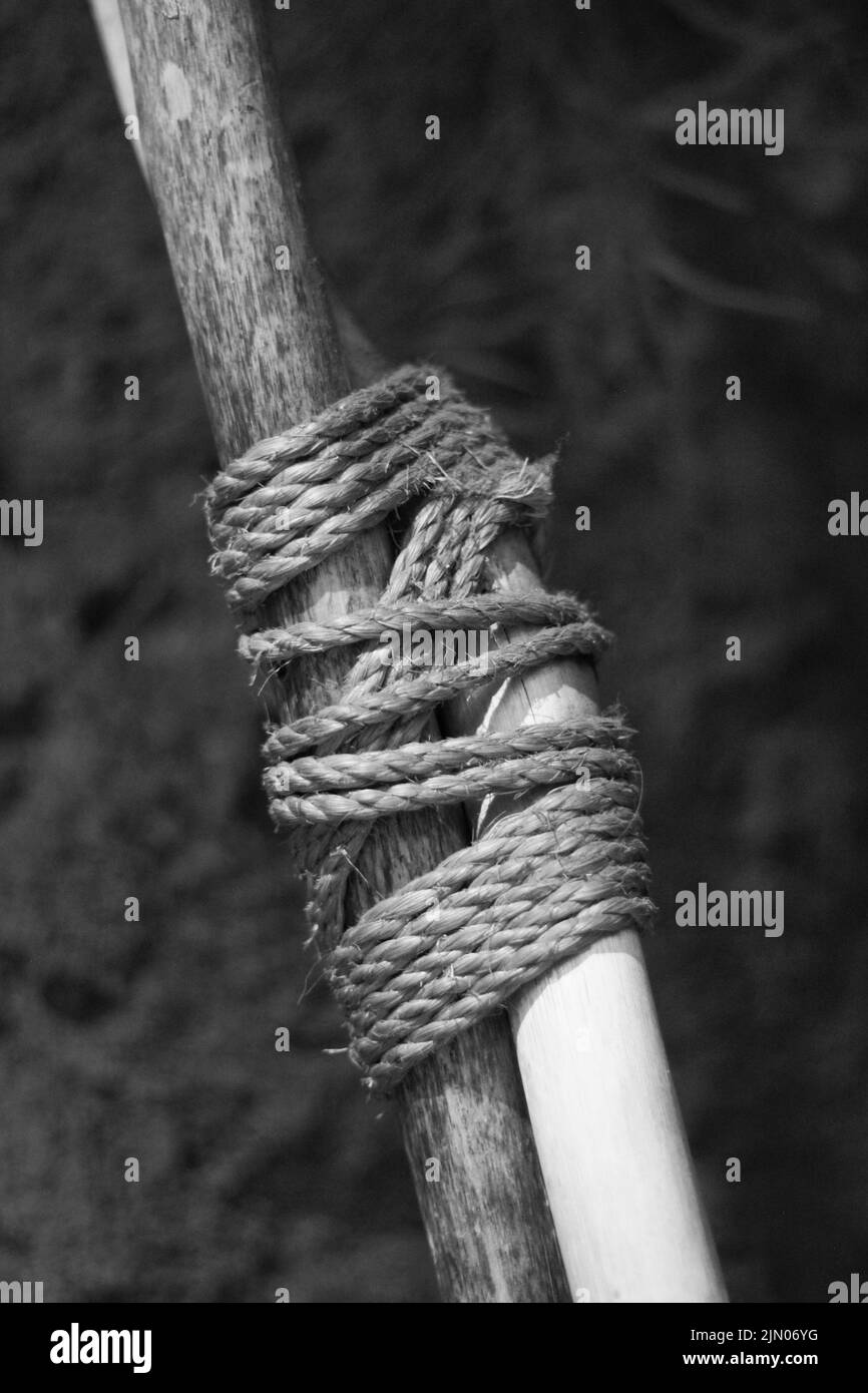 Two branches tied tied together with rope in black and white monochrome ...
