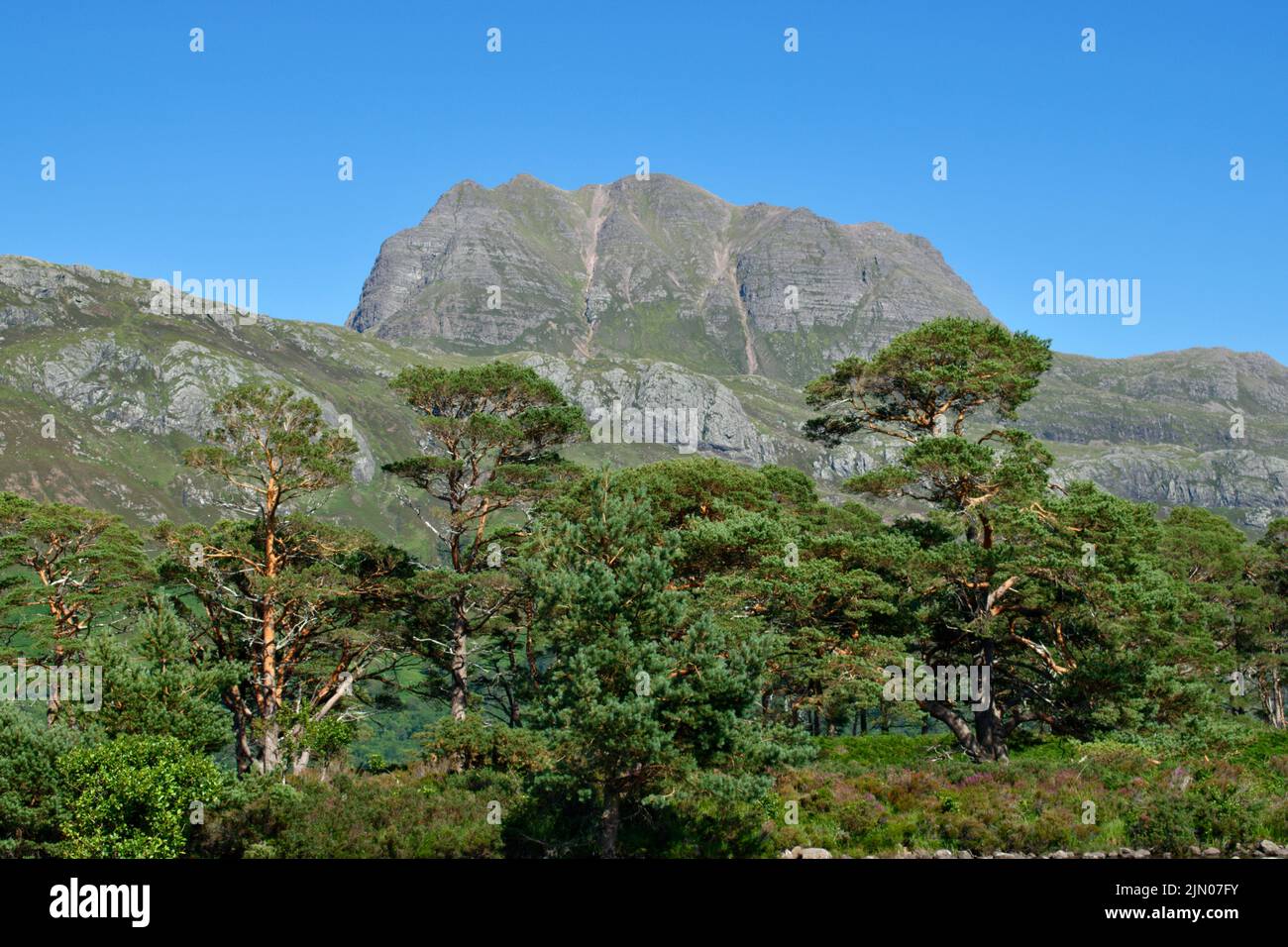 SLIOCH MOUNTAIN WESTER ROSS SCOTLAND IN SUMMER THE MOUNTAIN SCOTS PINES ...