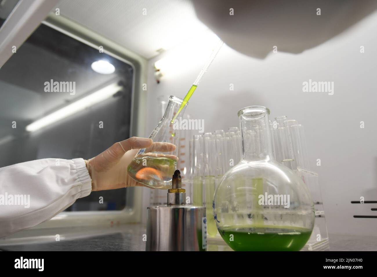 Microalgae hi-res stock photography and images - Alamy
