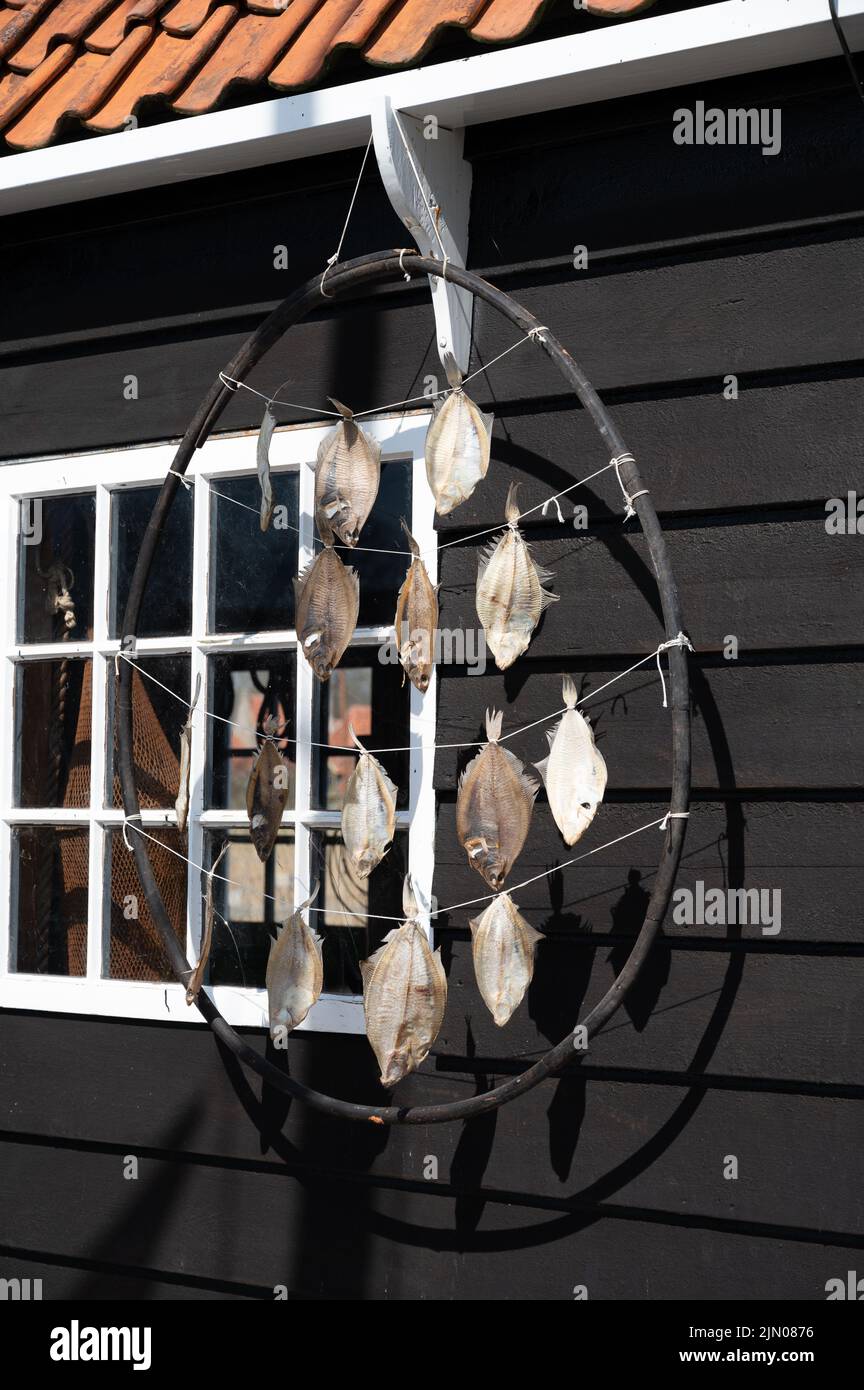 Life is old Dutch fisherman's village, sun-dried flat fish, North ...