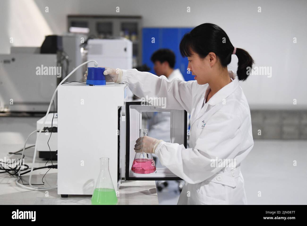 GUIYANG, CHINA - AUGUST 8, 2022 - A technician inoculates microalgae ...