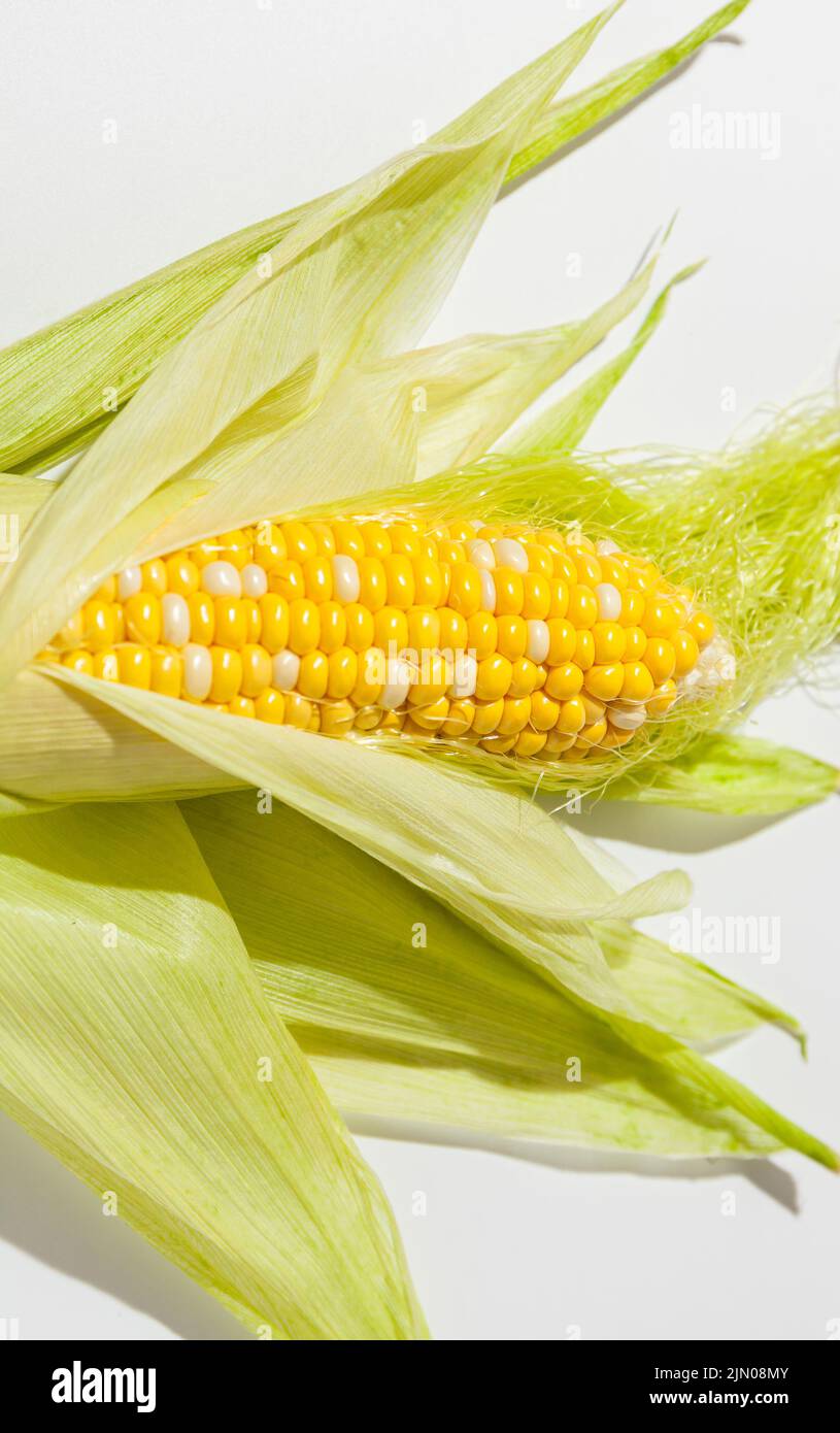Fresh corn ears with leaves with open leaves like a flower Stock Photo ...
