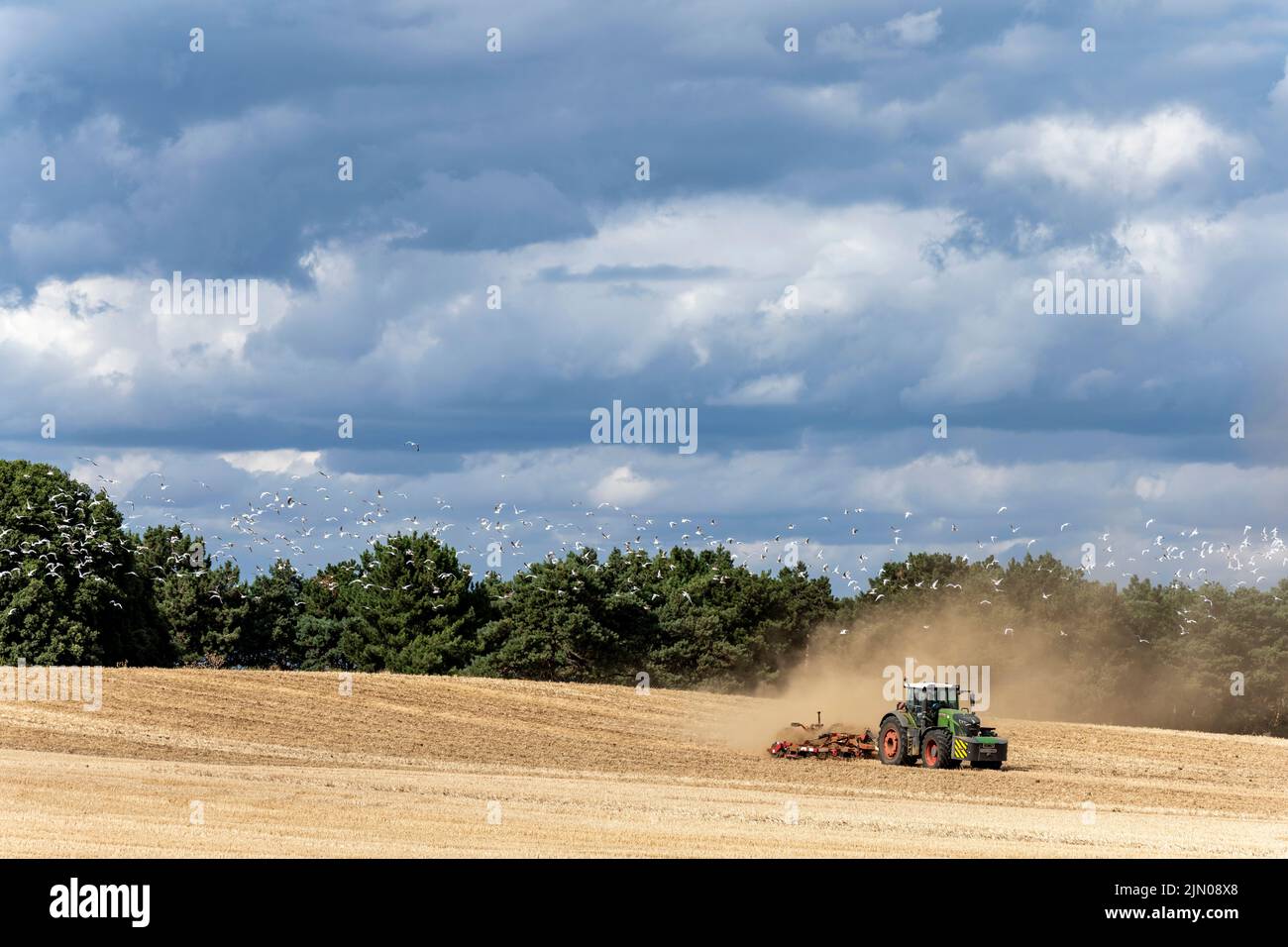 Stubble field hi-res stock photography and images - Alamy