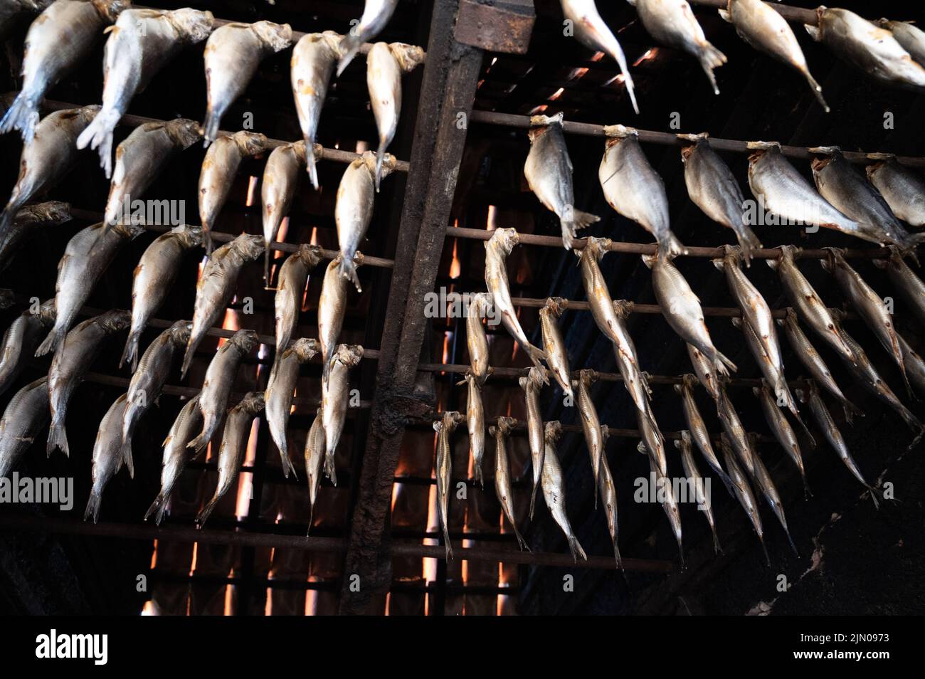 Old dark traditional Dutch smokehouse in fisherman's village in Horth ...
