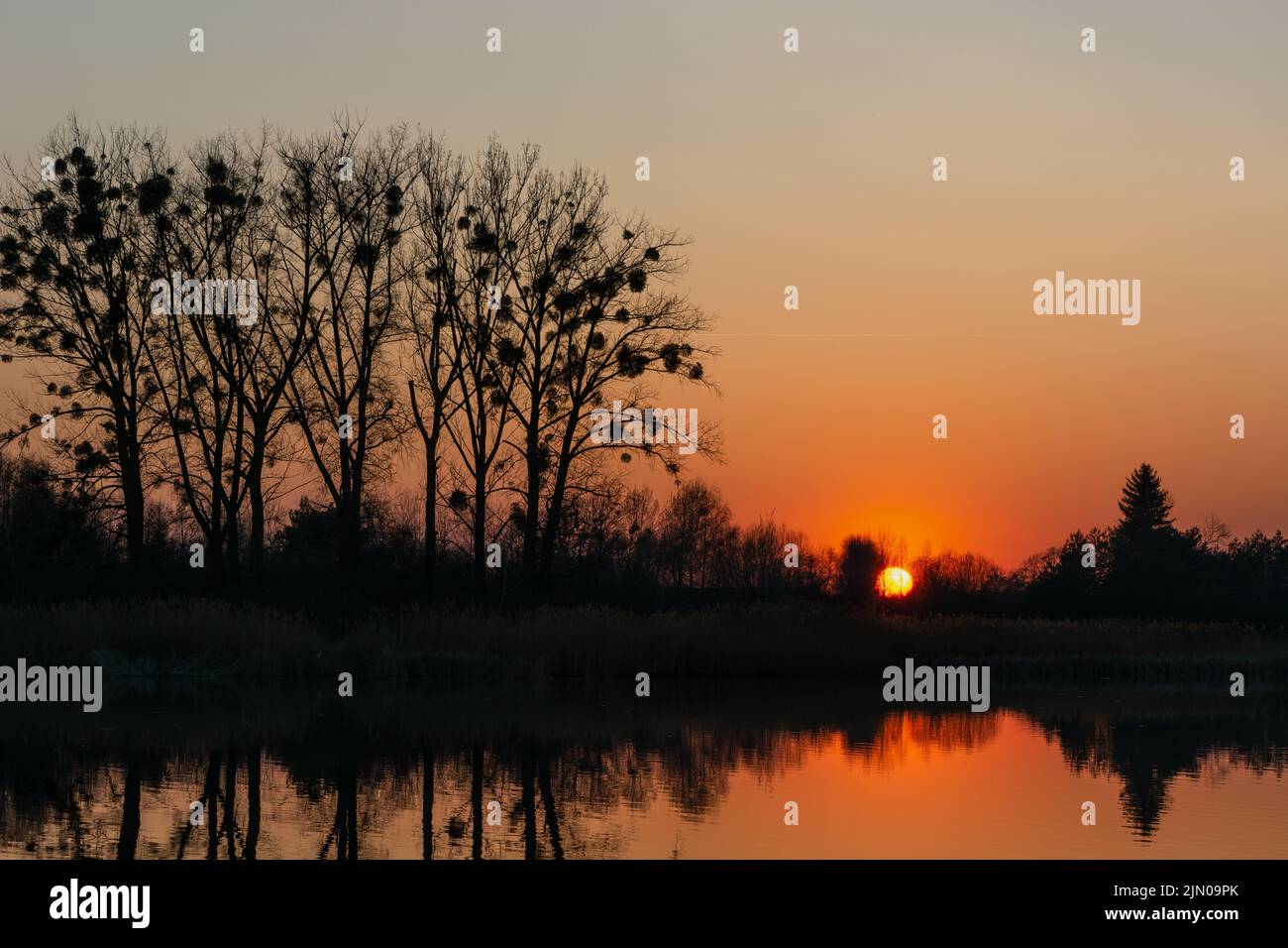 Atmospheric sunset behind trees and reflection in lake water Stock ...