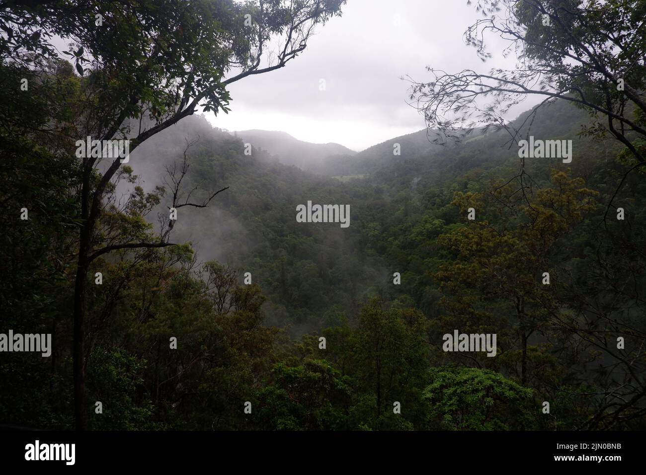 hiking the sunshine coast great walk Stock Photo - Alamy