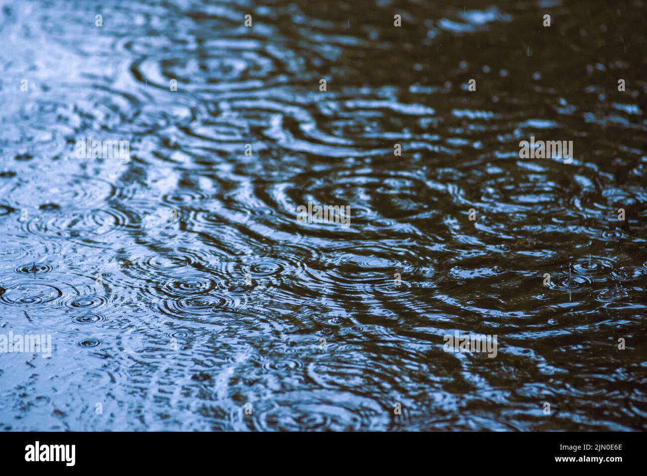 rain puddle circles, aqua abstract background, texture autumn water ...