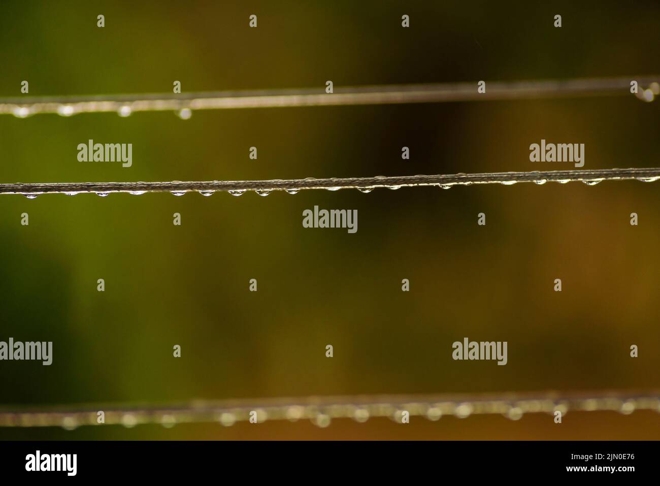 clothing lines of a clothes spin with many raindrops at the string in ...