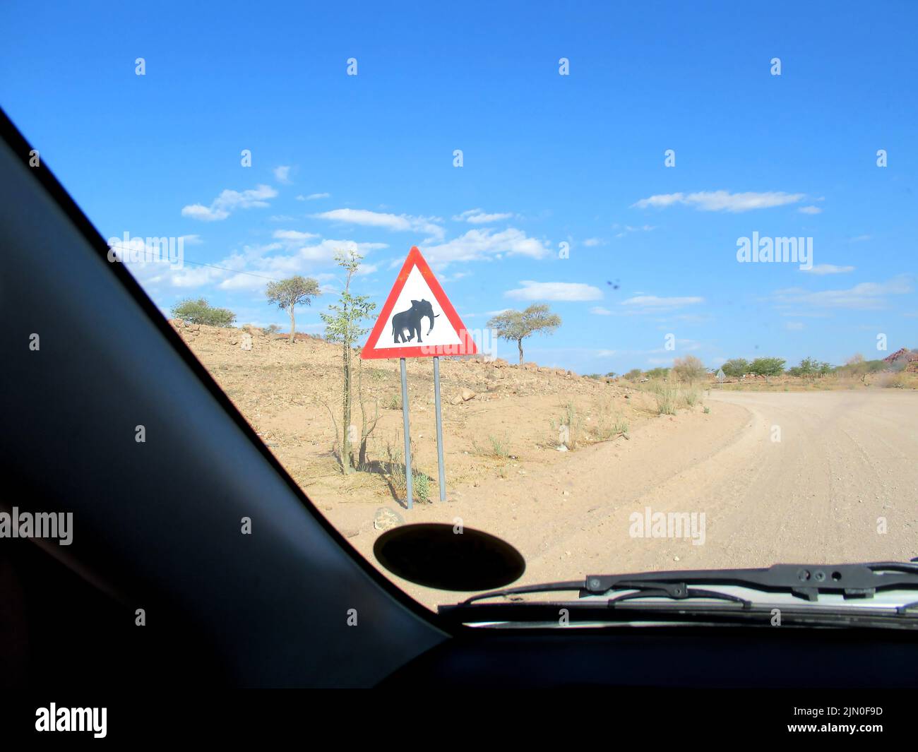 The large wild mammal animals that died as a result of vehicle ...