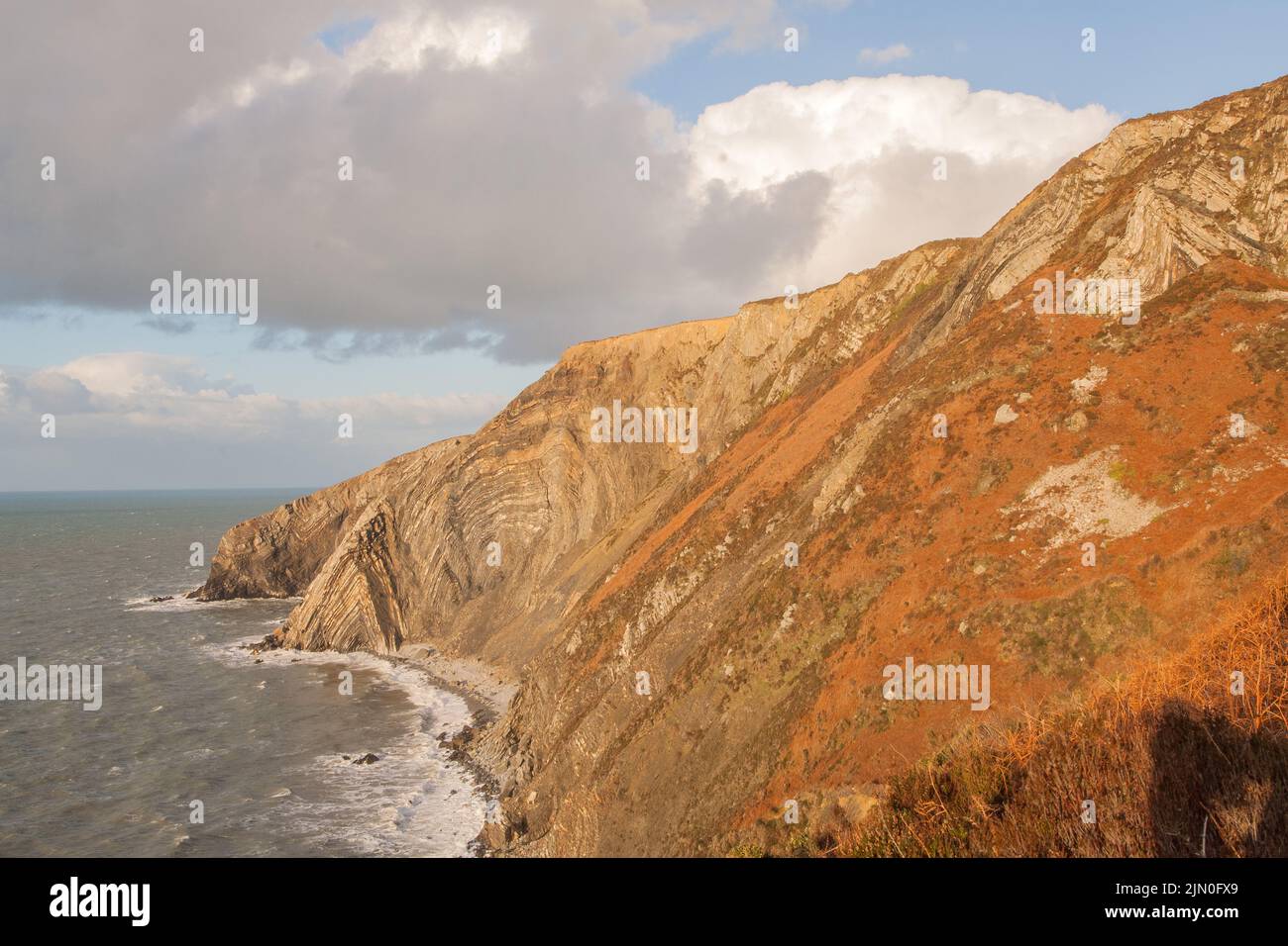 Angular anticlinal fold Traeth Godi'r Coch Cemaes Head Pembrokeshire ...