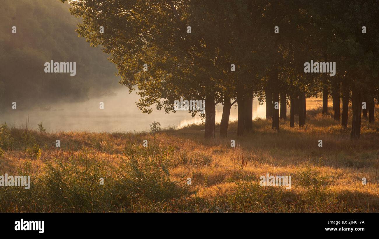 Early morning river. fog trees. sunlight mist water. Olanesti Moldova ...