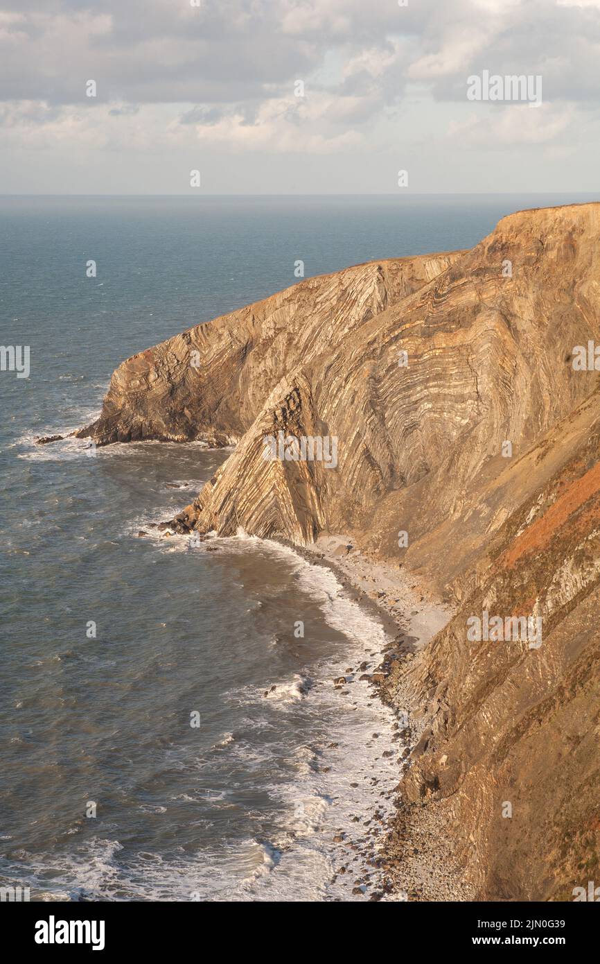Angular anticlinal fold Traeth Godi'r Coch Cemaes Head Pembrokeshire ...