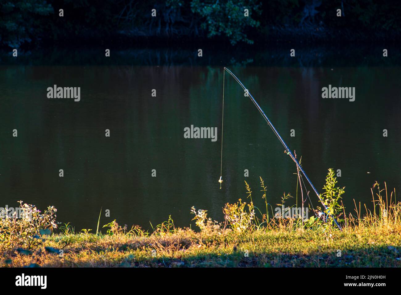 Freshwater angling with rods beside a lake mist morning Stock Photo - Alamy