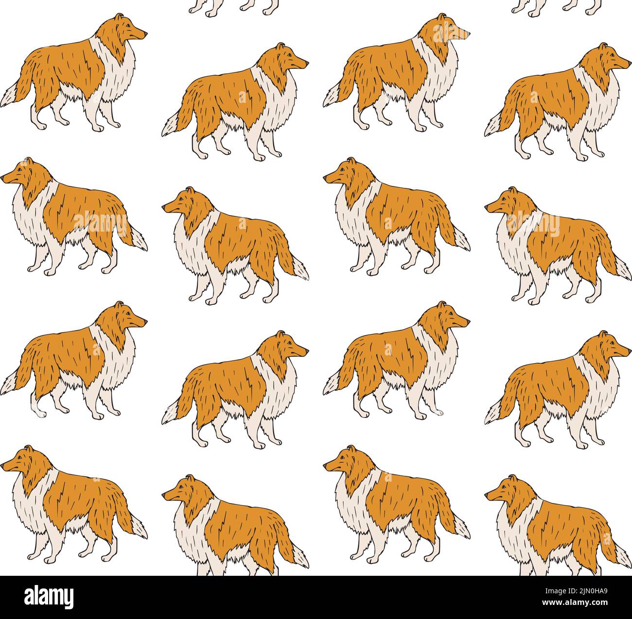 Vector seamless pattern of hand drawn doodle sketch colored collie dog ...