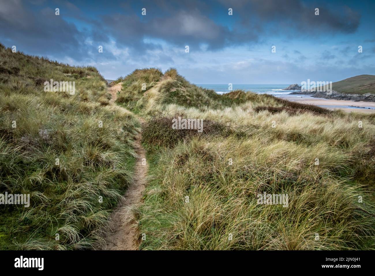 A footpath through the delicate sand dune system at Crantock Beach in ...