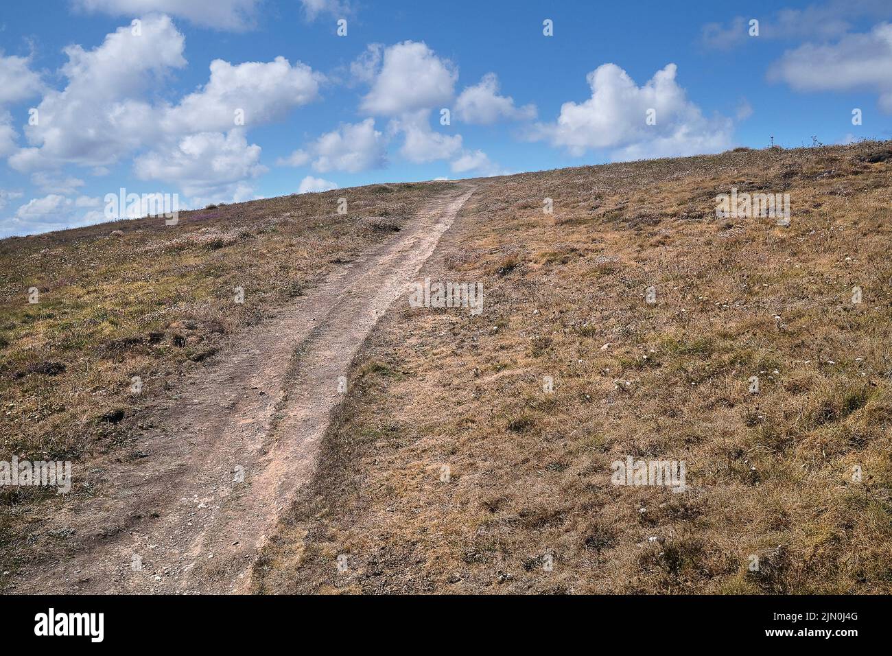 A worn footpath on The Warren, part of Pentire Point East in Newquay in ...