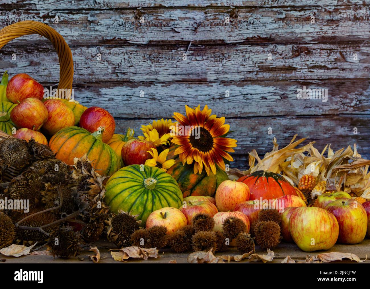 basket full of pumpkins, apples and various autumn fruits and flowers ...