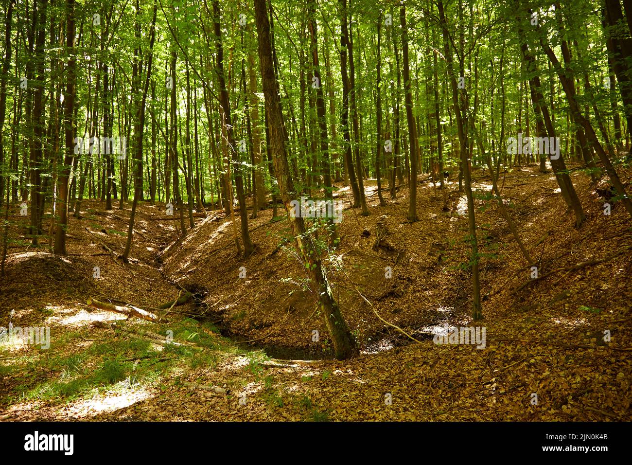 Trough creek hi-res stock photography and images - Alamy