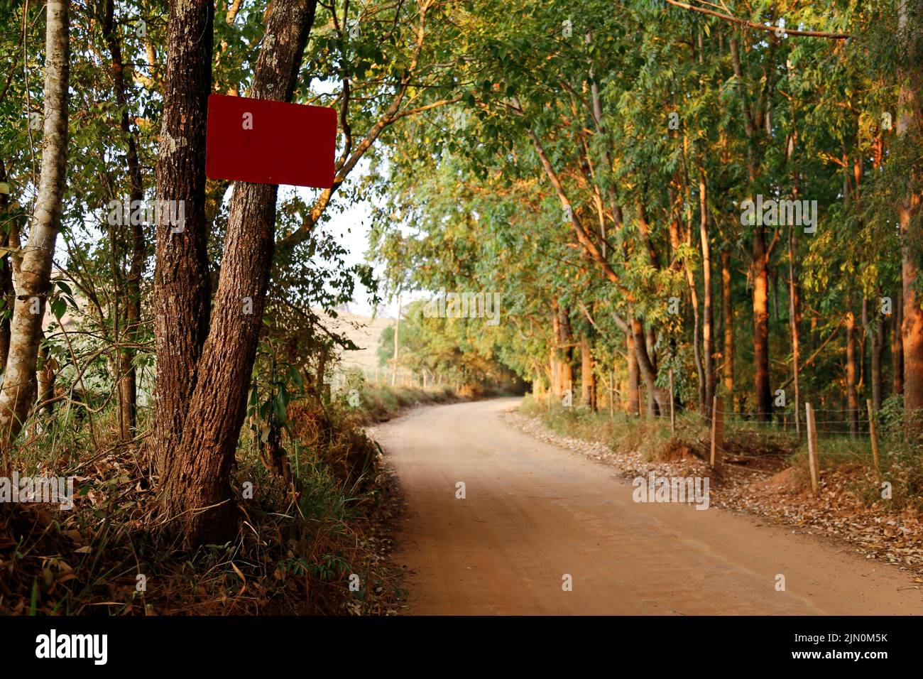 blank red sign pinned to tree during daytime outdoors Stock Photo - Alamy