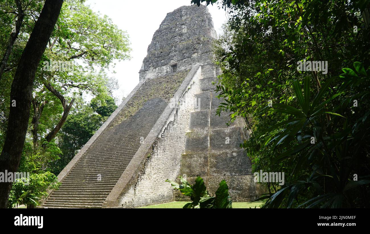 Belize mayan rainforest hi-res stock photography and images - Alamy