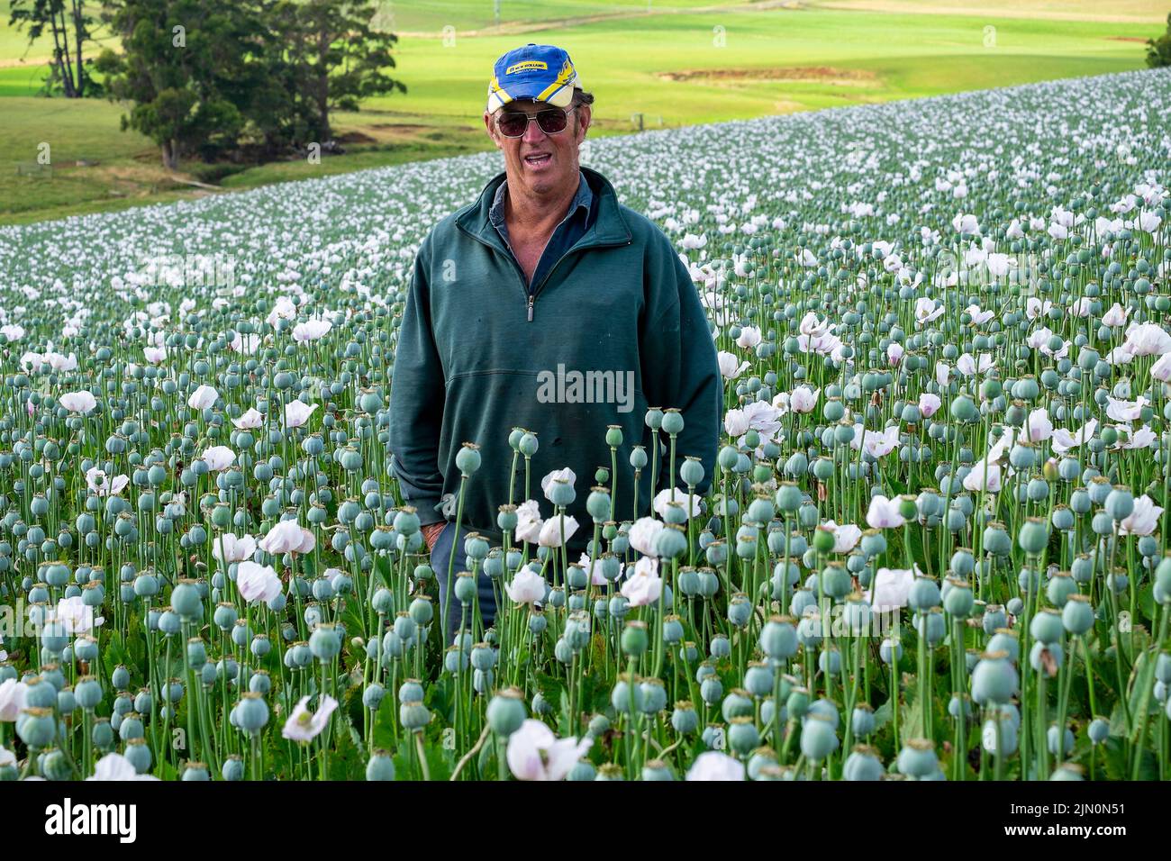 Australian cropping hi-res stock photography and images - Alamy