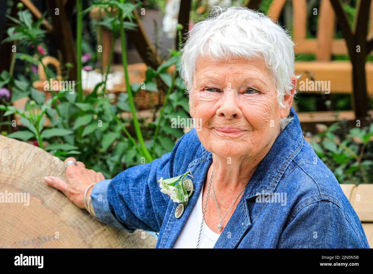 Dame Judi Dench, English actress, Chelsea Flower Show, close up head ...