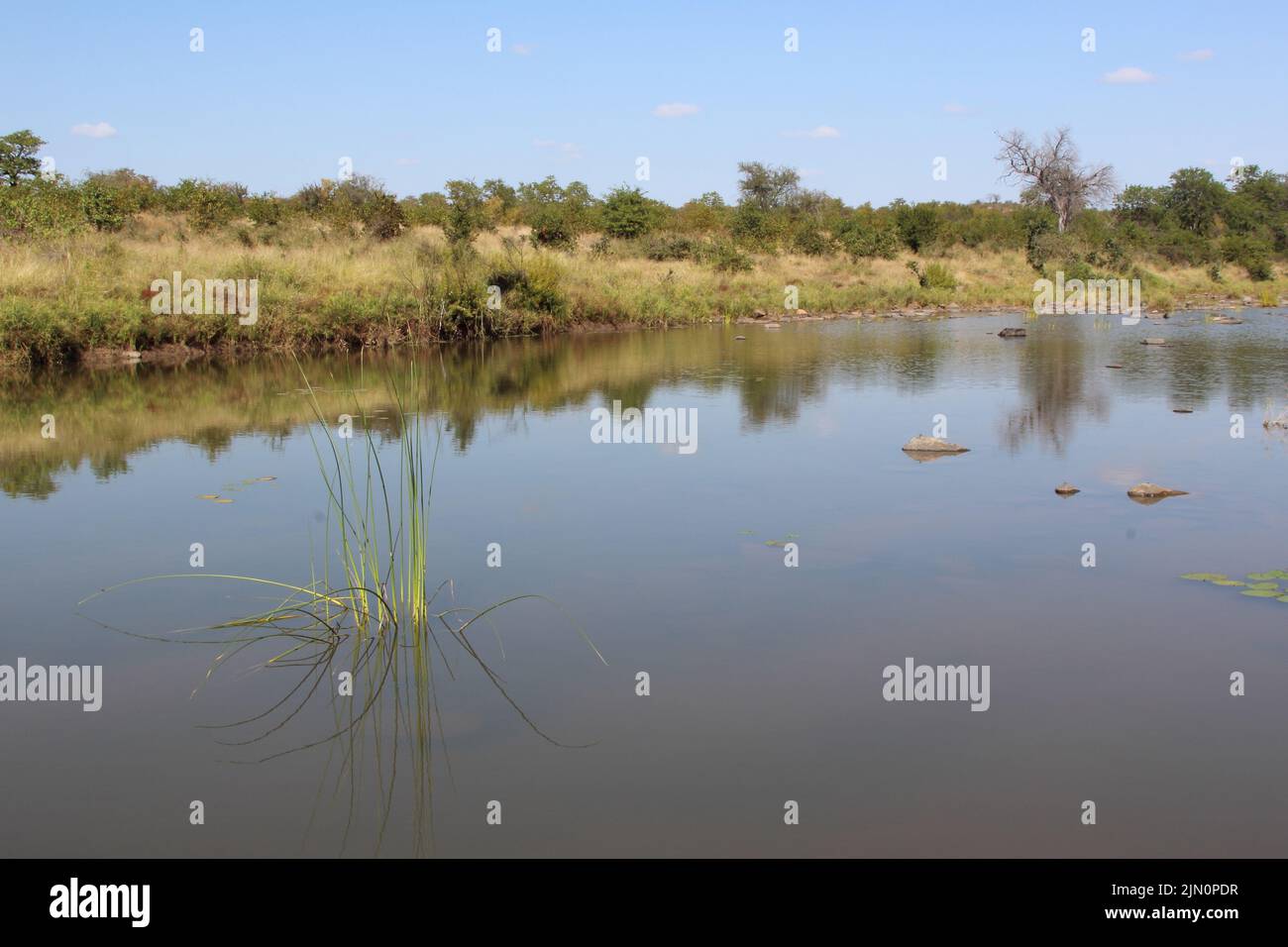 Shingwedzi River / Shingwedzi River Stock Photo - Alamy