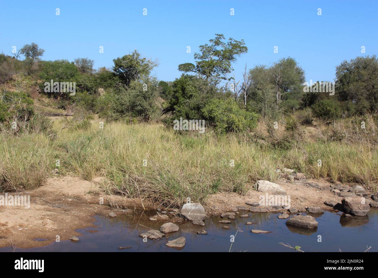 Wald bume hi-res stock photography and images - Alamy