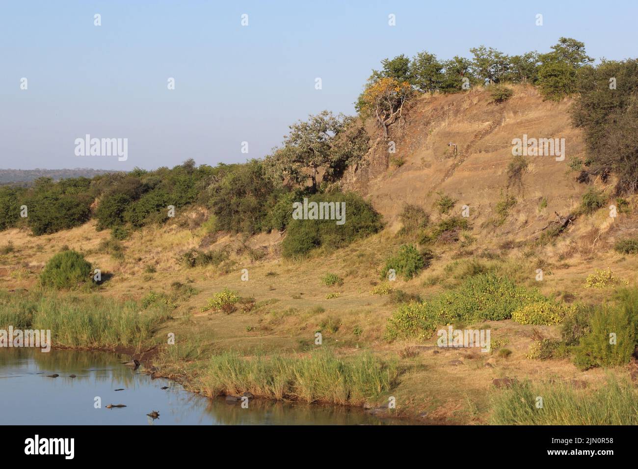 Letaba River / Letaba River Stock Photo - Alamy