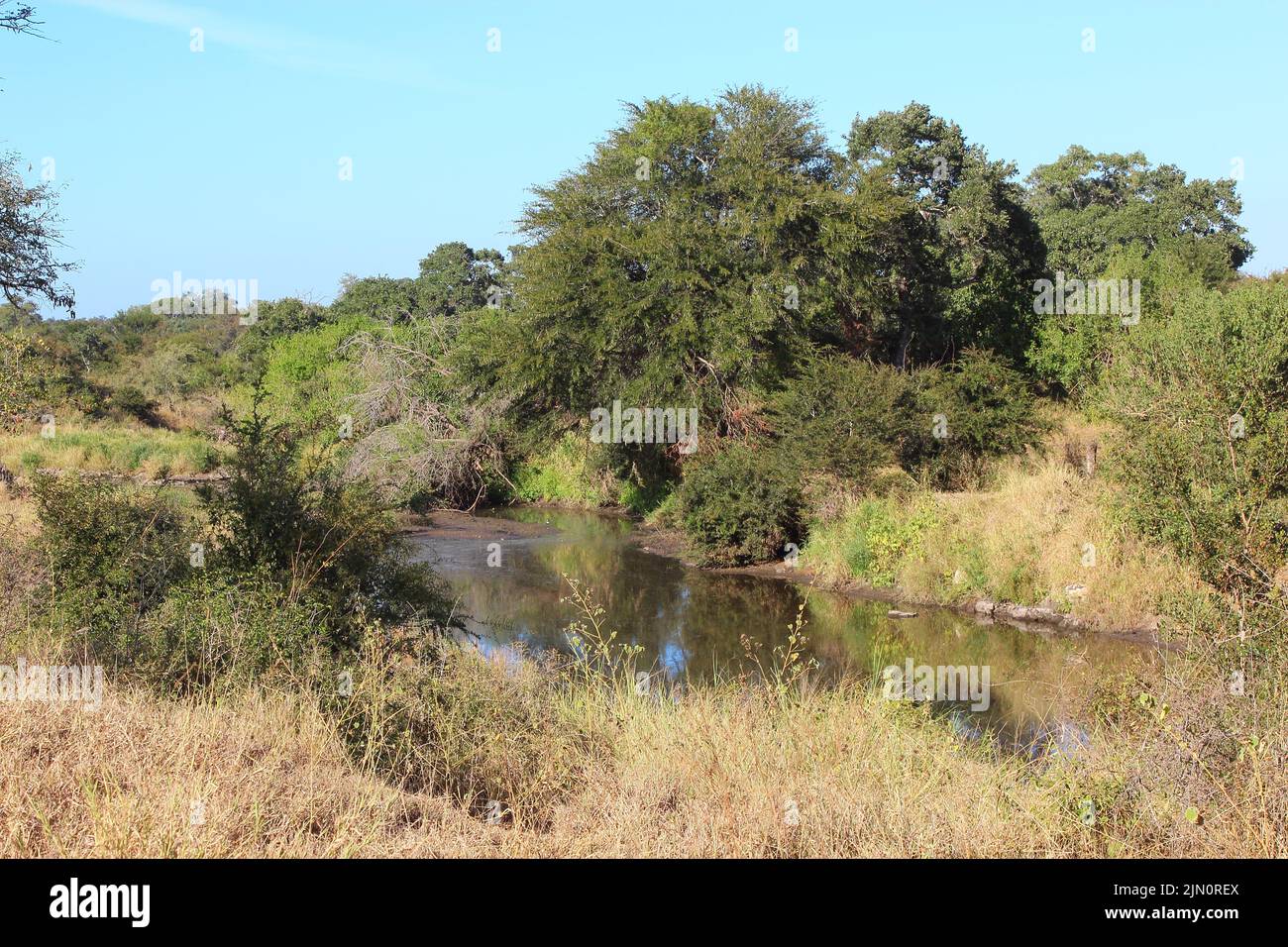 Afrikanischer Busch - Krügerpark - N`wanetsi River / African Bush ...