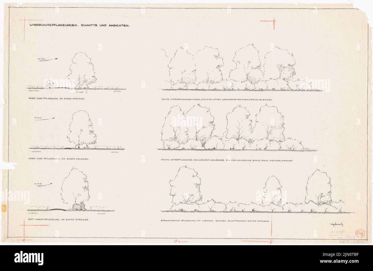 4 4 7 7 cm Cut Out Stock Images & Pictures - Alamy