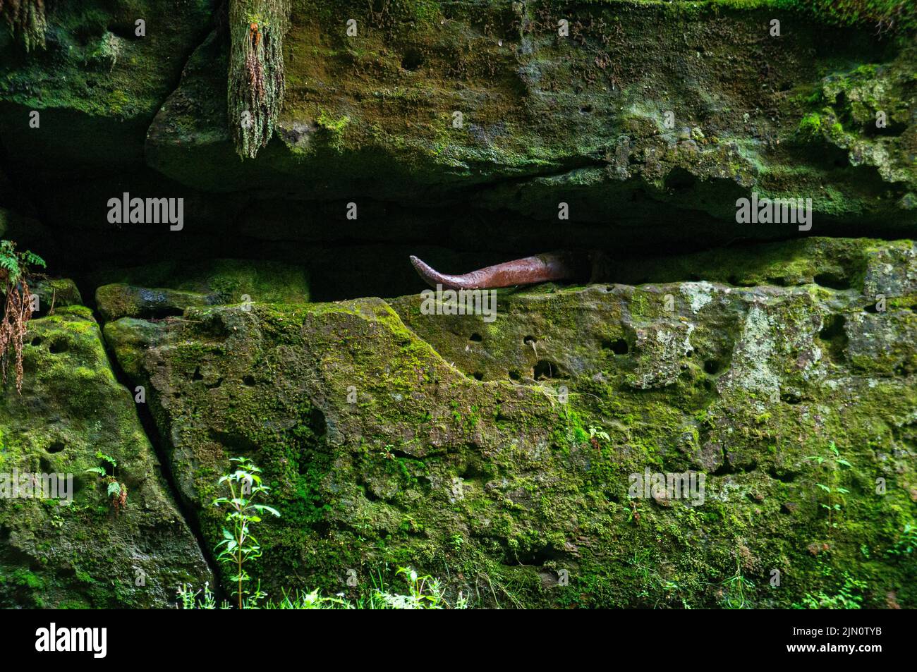 ***2013 FILE PHOTO*** The ferry on the Wild Gorge on the Kamnitz River ...