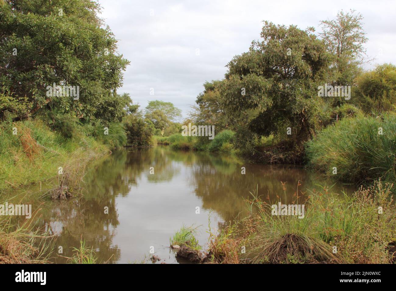 Krüger Park - Afrikanischer Busch - Fluss / Kruger Park - African bush ...