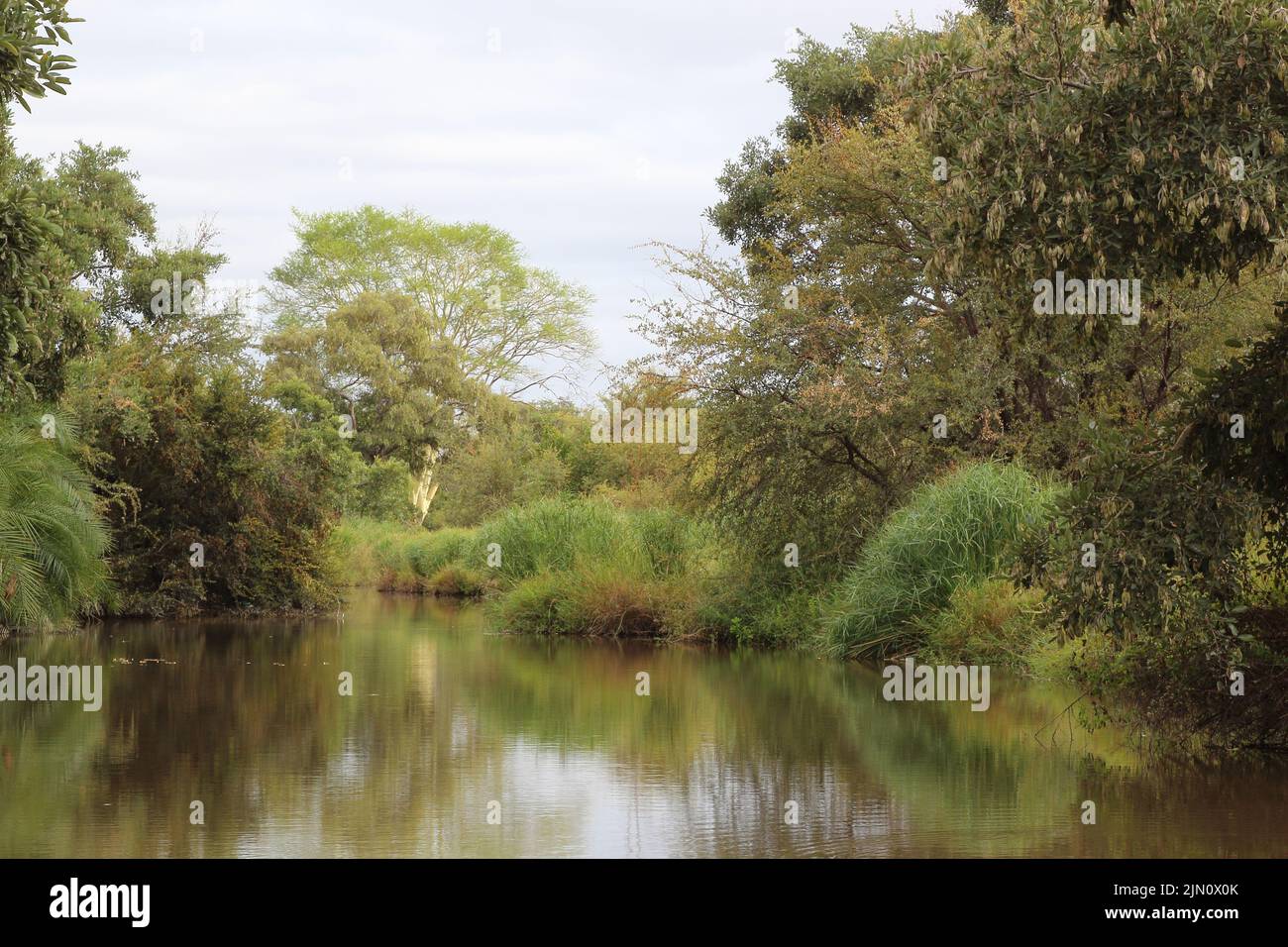 Krüger Park - Afrikanischer Busch - Fluss / Kruger Park - African bush ...