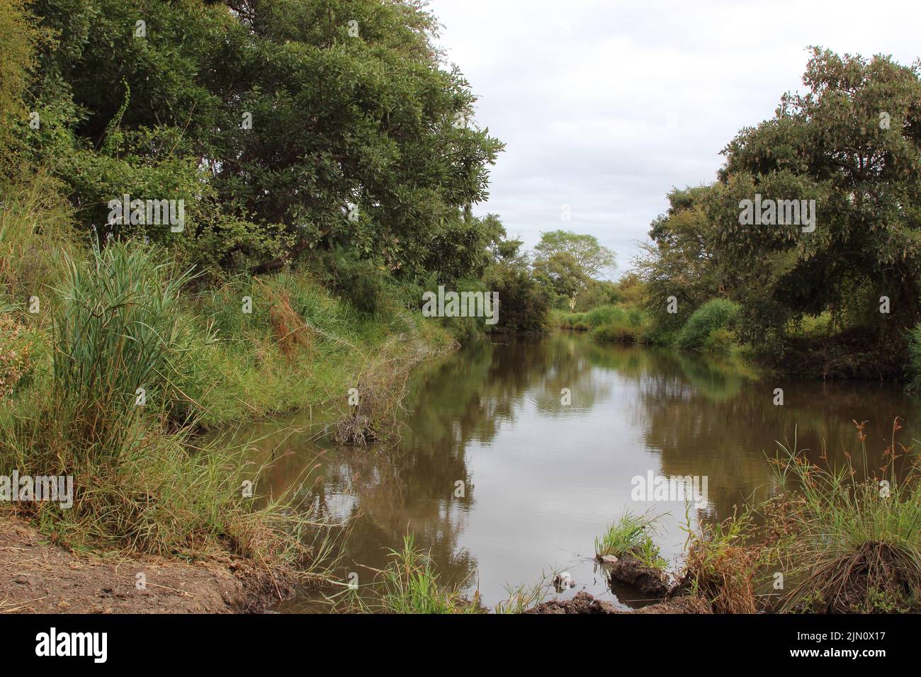 Krüger Park - Afrikanischer Busch - Fluss / Kruger Park - African bush ...