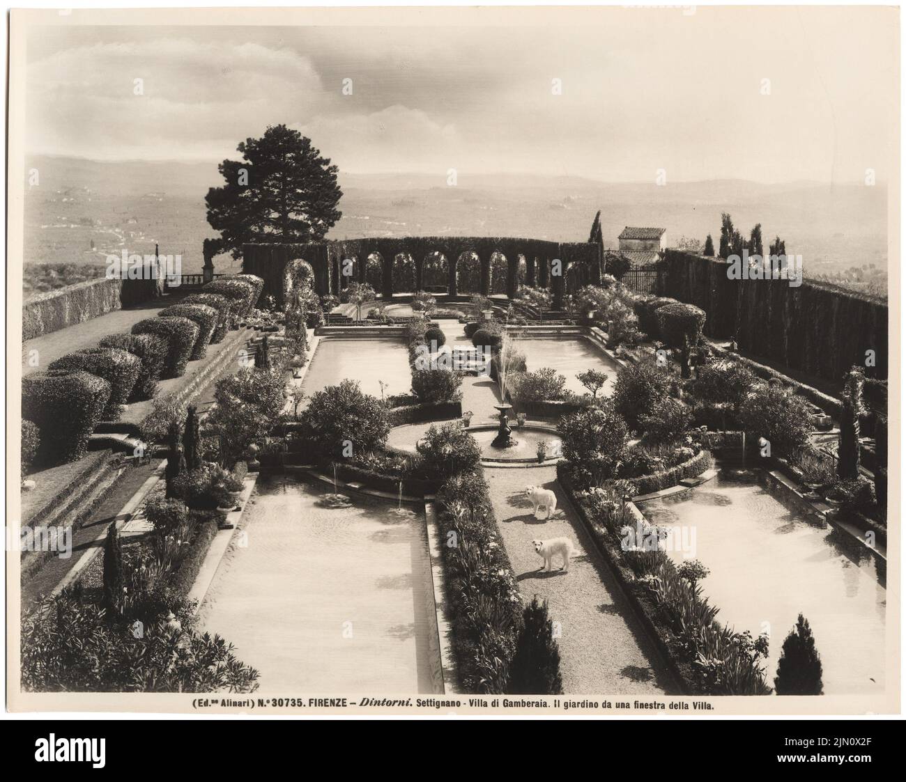 6 25 cm Cut Out Stock Images & Pictures - Alamy