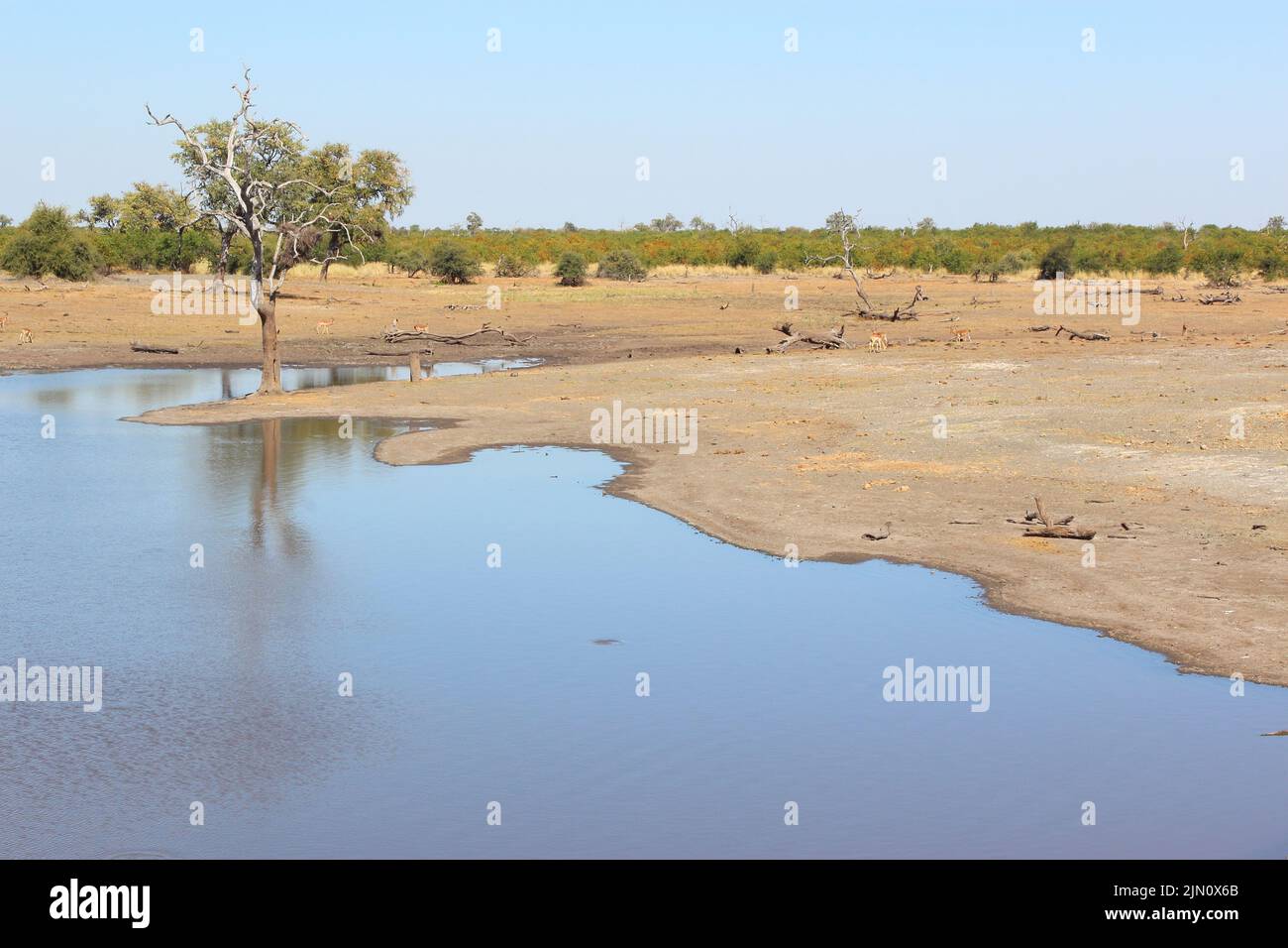 Lanschaft Krugerpark - Grodvlei Dam / Landscape Kruger Park - Grodvlei ...