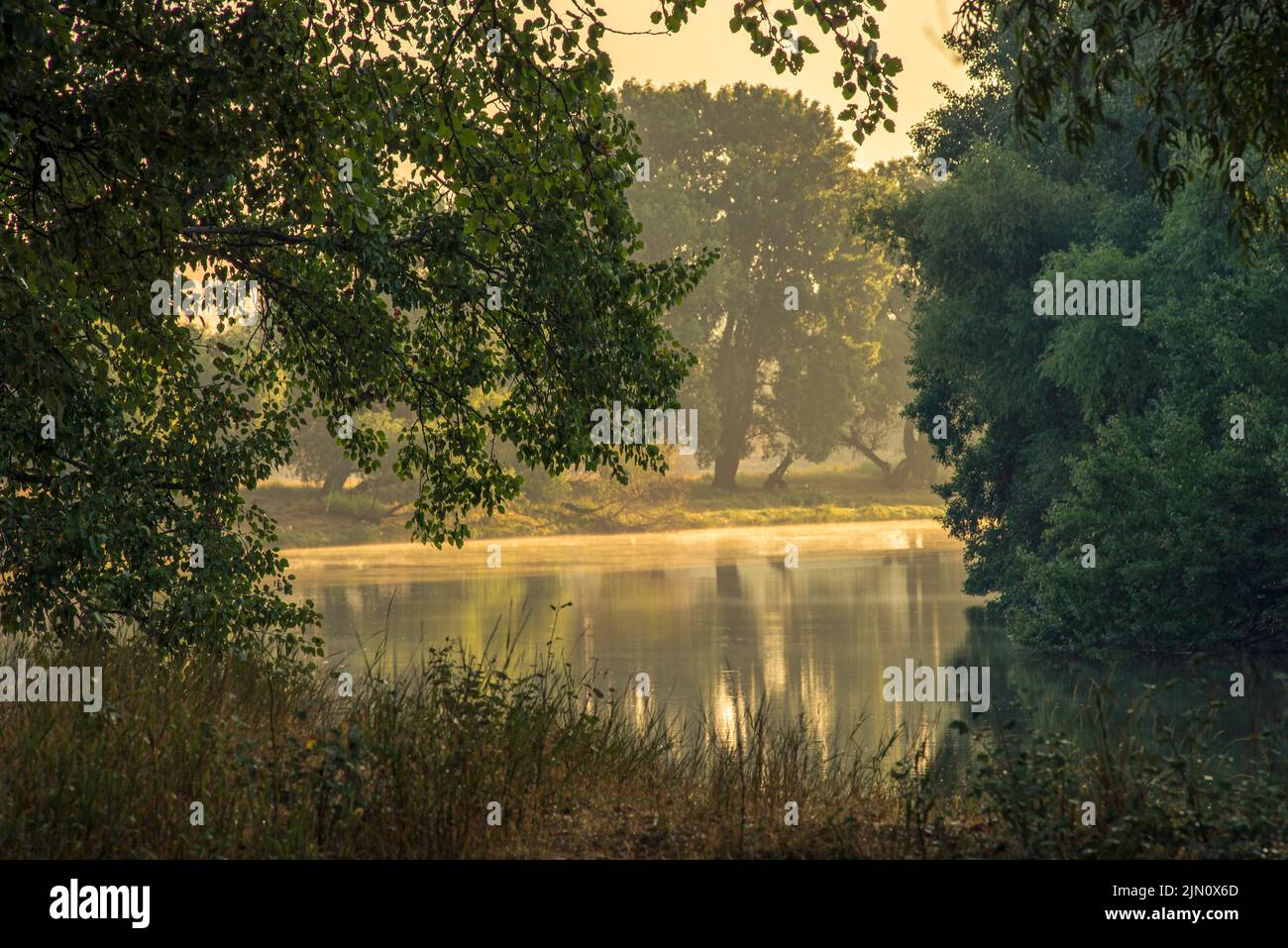 Early morning river. fog trees. sunlight mist water. Olanesti Moldova ...