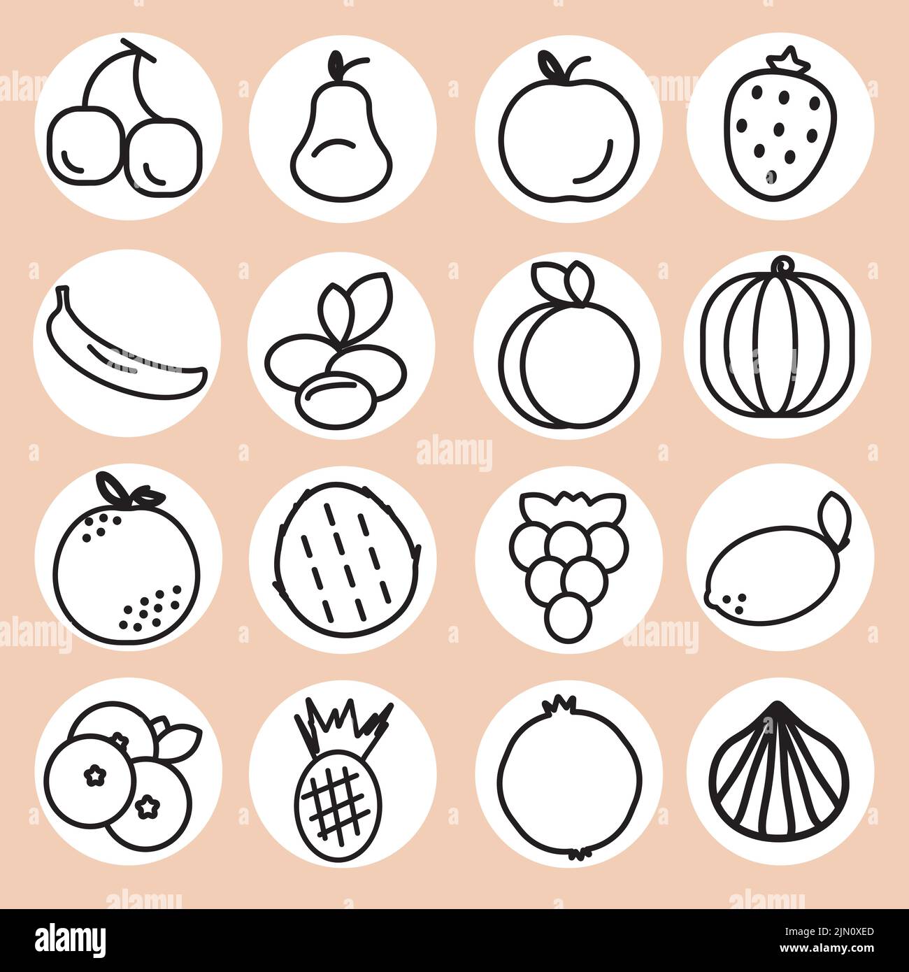Set of sixteen fruit icons. Fruits black outlines on the white stickers ...