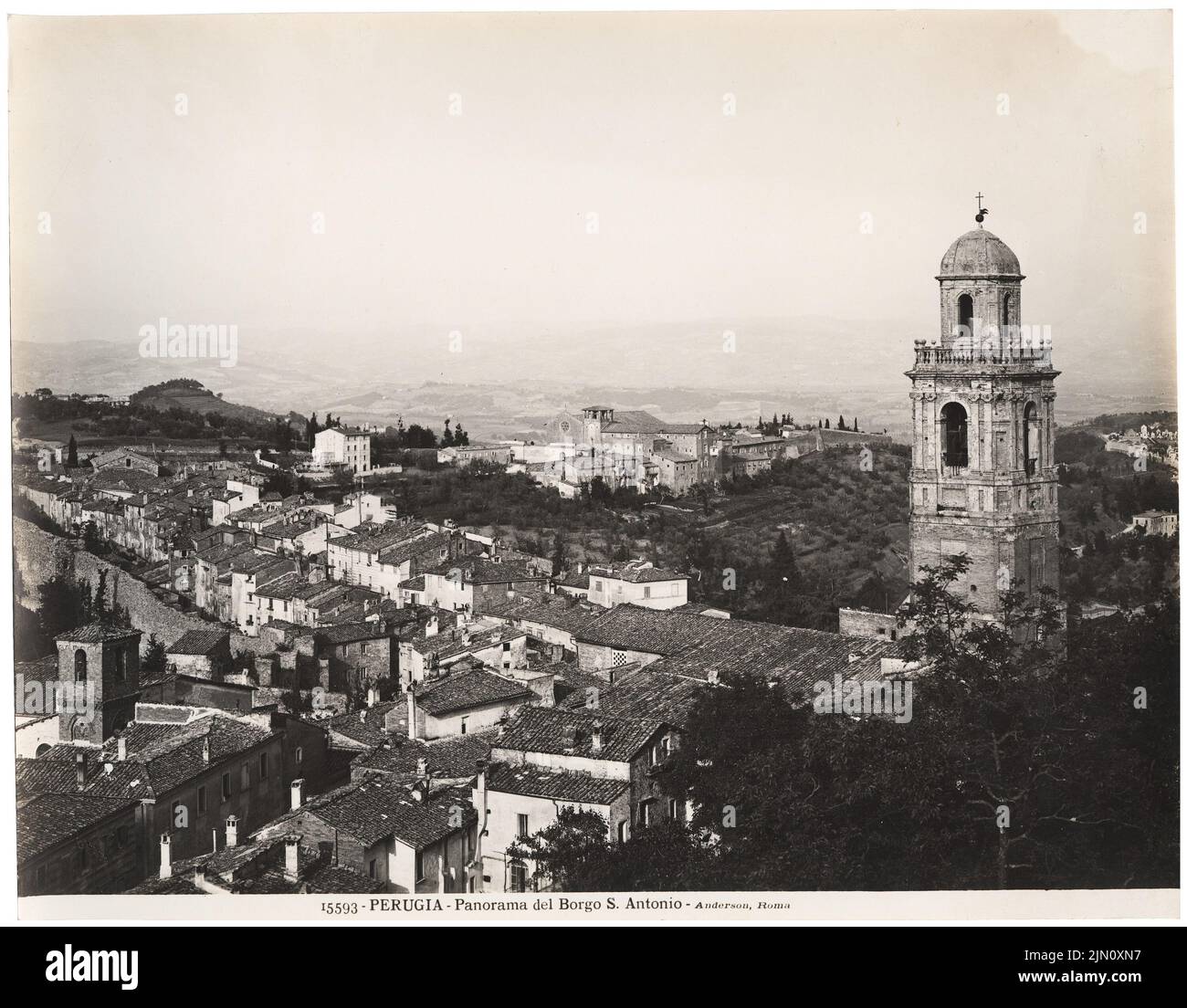 26 20 cm Cut Out Stock Images & Pictures - Alamy