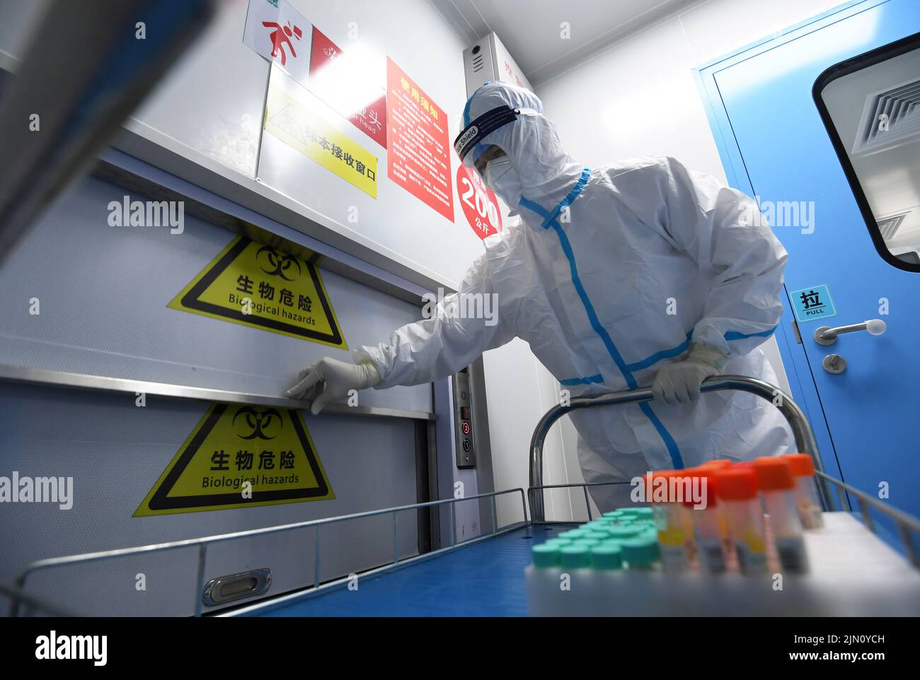 GUIYANG, CHINA - AUGUST 8, 2022 - Laboratory staff receive specimens to ...
