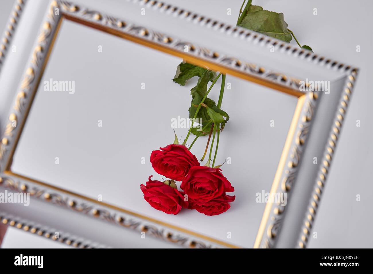 Close up bouquet of red roses behind picture frame. Isolated on white ...