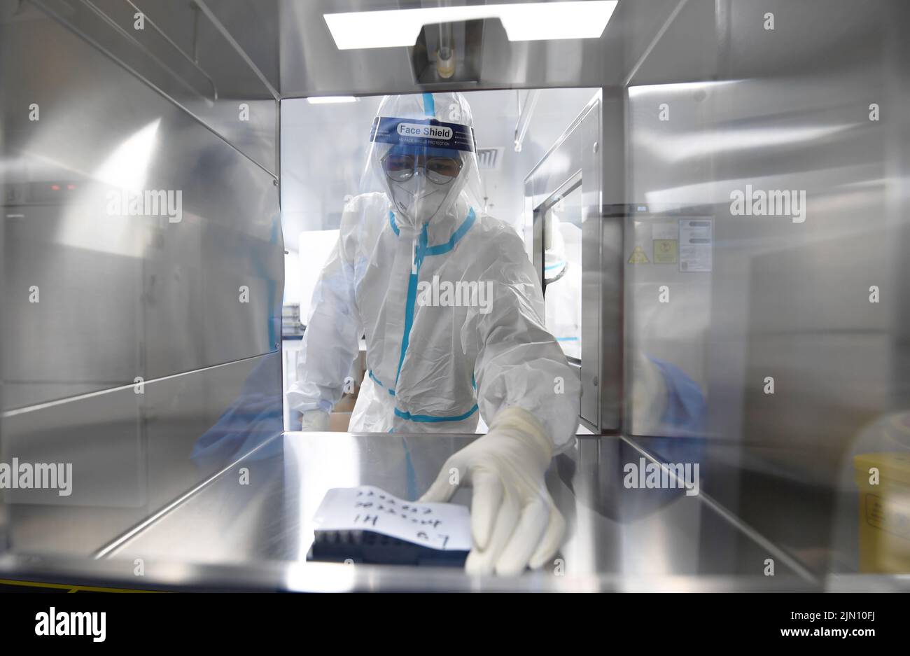 GUIYANG, CHINA - AUGUST 8, 2022 - Laboratory staff pass COVID-19 ...