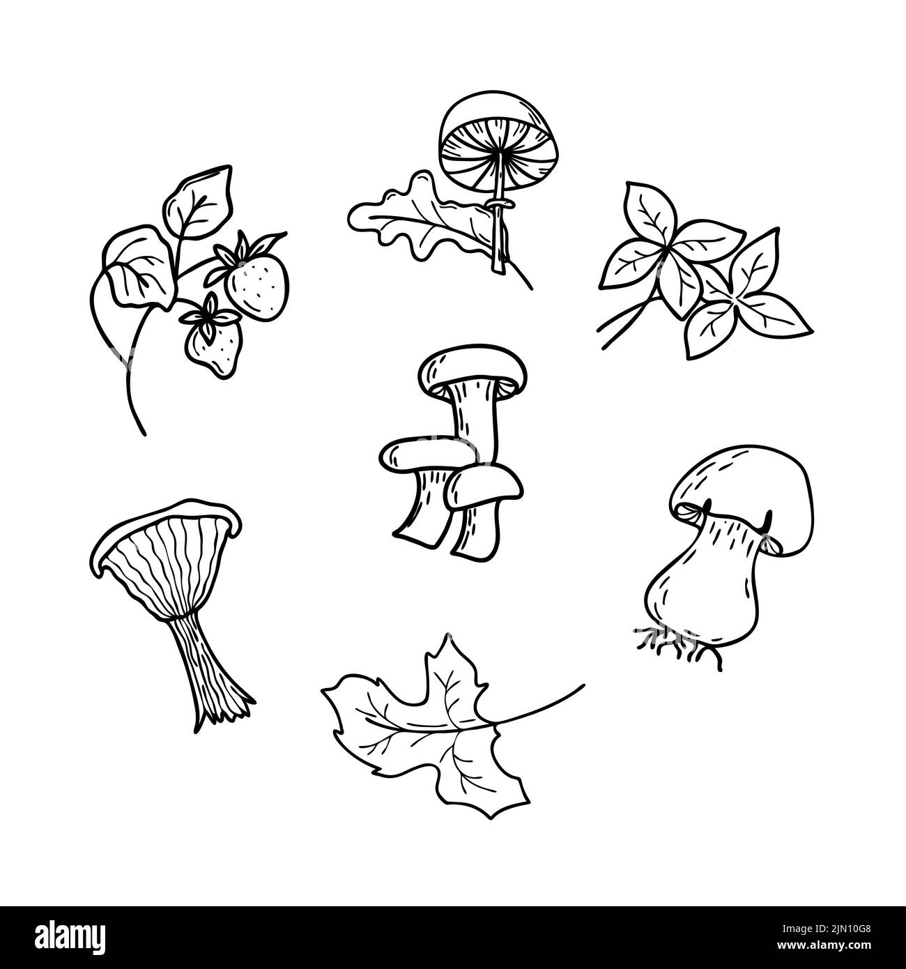 Vector contour mushroom. Mushroom icon. Simple clipart Stock Vector ...
