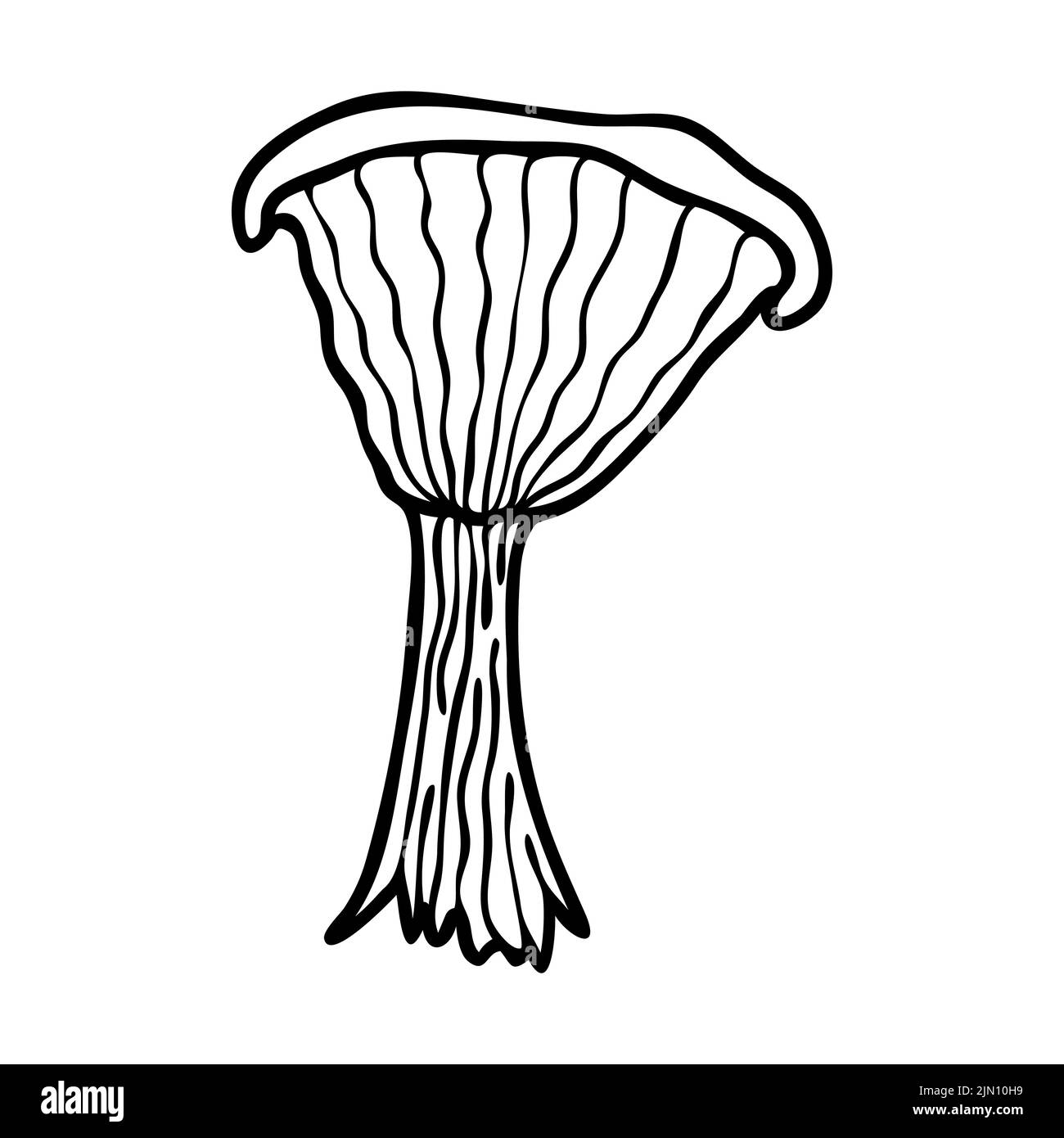 Vector contour mushroom. Mushroom icon. Simple clipart Stock Vector ...