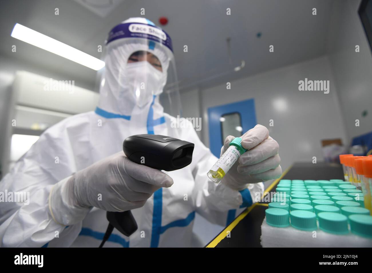 GUIYANG, CHINA - AUGUST 8, 2022 - Laboratory staff scan and enter Novel ...