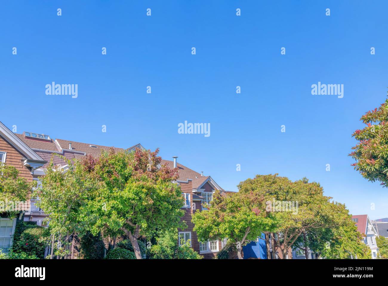 Sloped adjacent houses with trees at the front at San Francisco ...