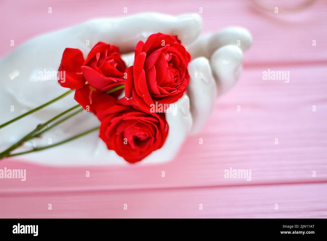 Hand and rose model hi-res stock photography and images - Alamy